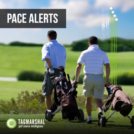 New Feature: Pace Alerts